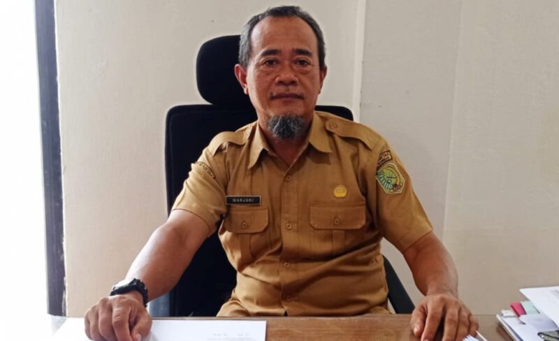 Karhutla Kabupaten Sambas Kategori Belum Mengkhawatirkan - sambas times
